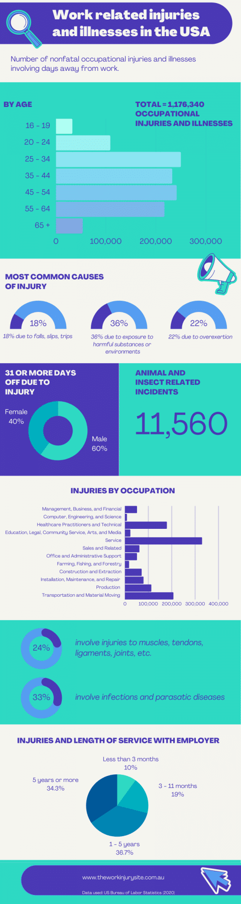 Injuries and illnesses in the USA infographic - The Work Injury Site